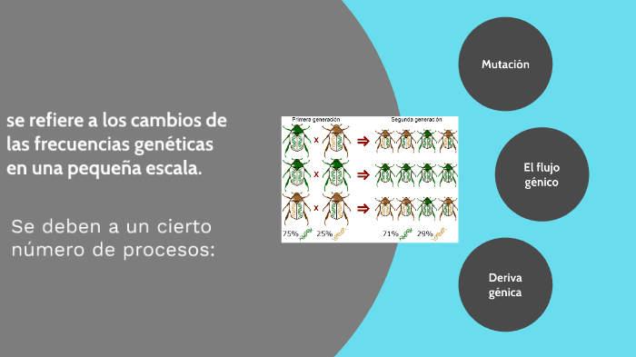 la microevolución by Valeria Castillo rojas on Prezi