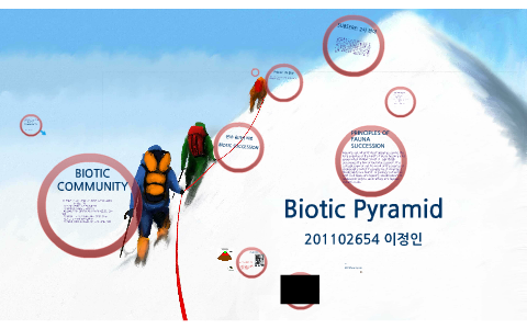 Biotic Pyramid by Jennifer Rhee on Prezi