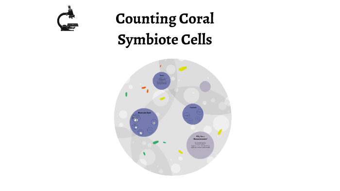 Counting Coral Symbiote Cells by cortnei edwards
