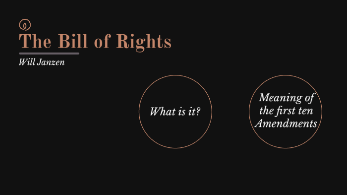 Third Hour U.S. Government Will Janzen's Bill of Rights Presentation by ...
