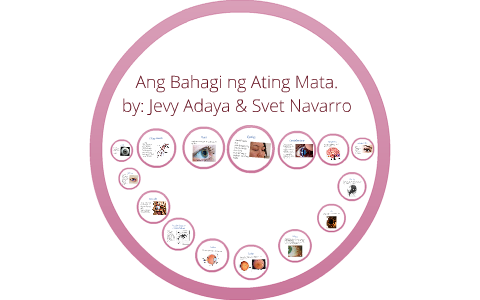Ang mga Parte ng Ating Mata. by Svet Navarro on Prezi