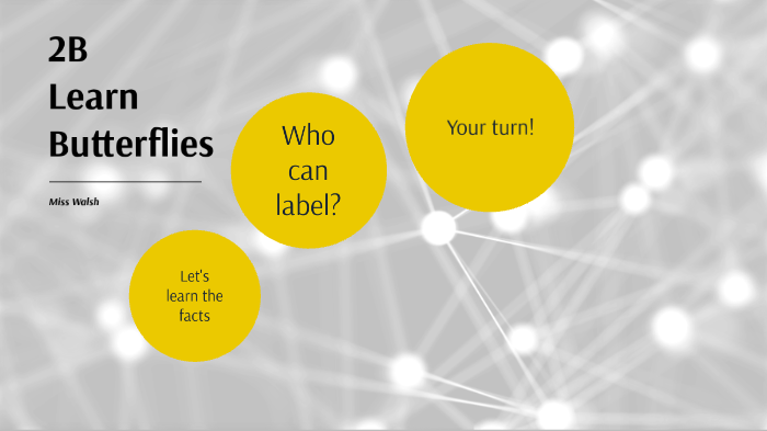 2B Learn Butterflies! by Emma Walsh on Prezi