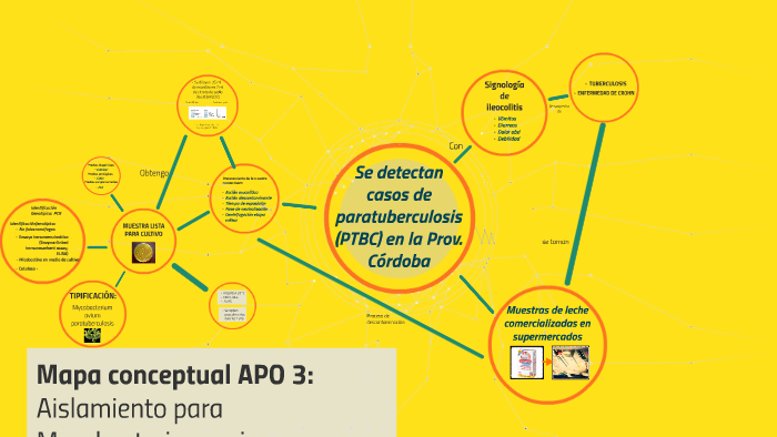 Mapa conceptual APO 3: by Carla Pianesi on Prezi