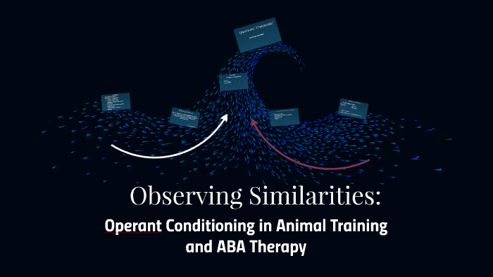 Drawing Similarities: by Andrea Schneider on Prezi