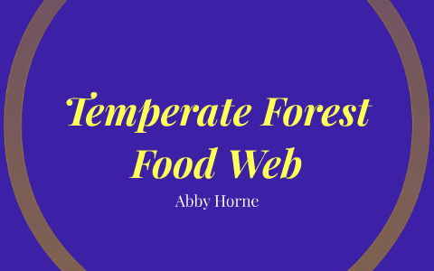 Temperate Forest Food Web by Abby Horne