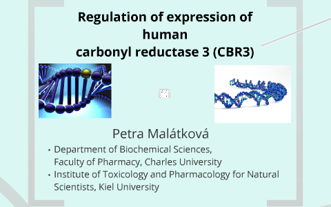 Regulation of human carbonyl reductase 3 (CBR3) expression by Petra ...