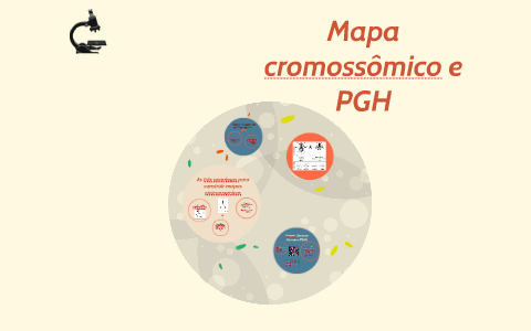 Mapa cromossômico by Natalia Cidral on Prezi