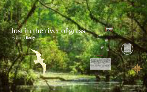 lost in the river of grass by charlee turner on Prezi