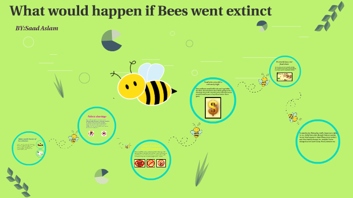 What would happen if bees die by Saad Aslam on Prezi