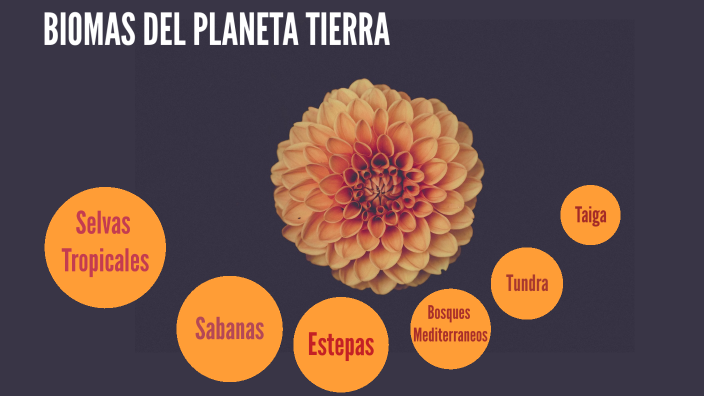 Biomas Del Planeta Tierra by Gabriela Inga on Prezi