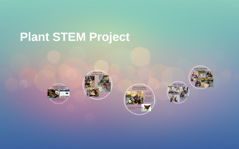 Plant STEM Project by Mary Cole on Prezi