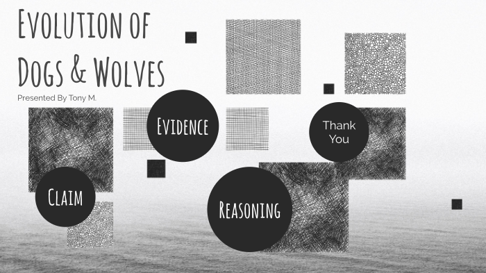 Evolution of Dogs & Wolves by Tony Ma on Prezi