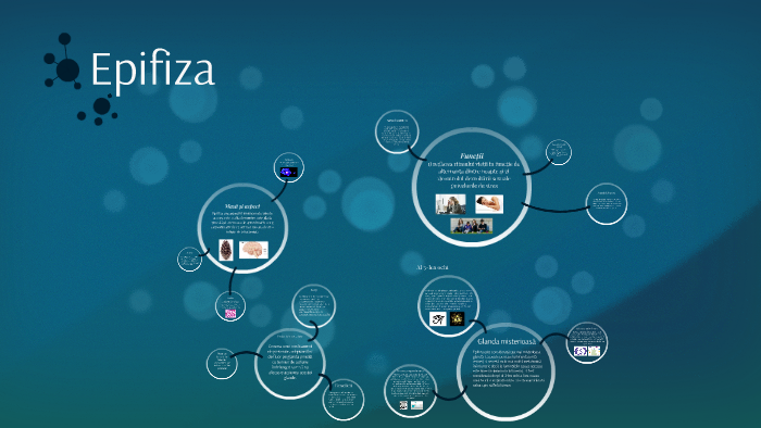 Epifiza by Mihai Ceres on Prezi