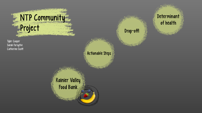 NTP Community Project by Sarah Forsythe on Prezi