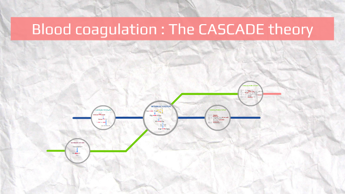 Blood coagulation : The CASCADE theory by siriluk parimanont on Prezi