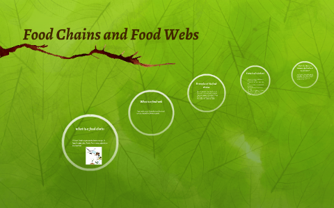 Food Chains and Food Webs by Tori Alexander on Prezi