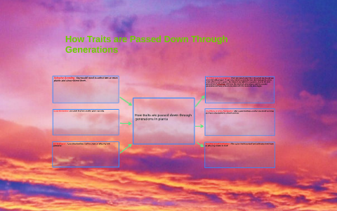 How Traits are Passed Down Through Generations by Jana Dobbs on Prezi