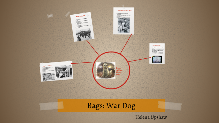 Rags: War Dog by Helena Upshaw on Prezi