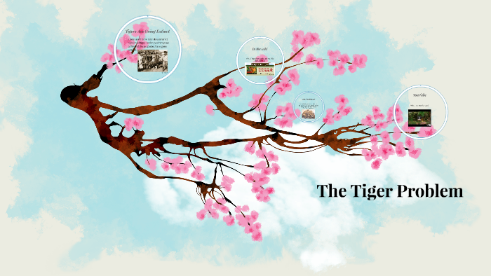 The Tiger Problem by Elizabeth B. on Prezi