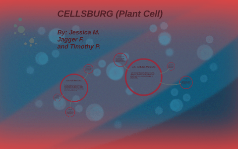 Cellsburg (plant cell) by timothy phillips on Prezi