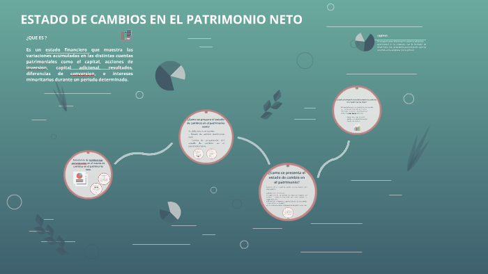 ESTADO DE CAMBIOS EN EL PATRIMONIO NETO by Jonathan Flores on Prezi