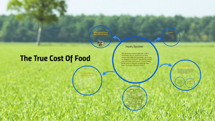 The True Cost Of Food by Nicole Holder on Prezi