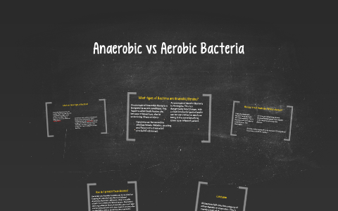 Anaerobic vs Aerobic Bacteria by Dora Borrego on Prezi