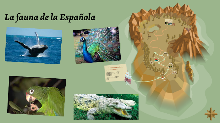 La fauna de la Española by Lisbeth Tavarez Torres on Prezi