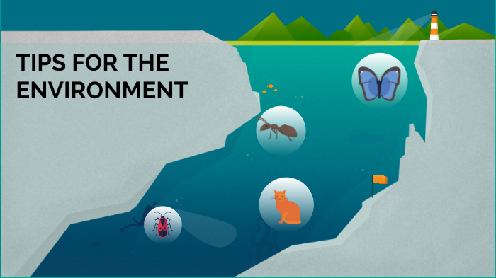 tips medio ambiente by Katherine Suazo on Prezi
