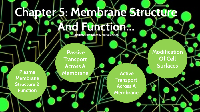 Chapter 5 Membrane Structure & Function by Kierra Jackson on Prezi