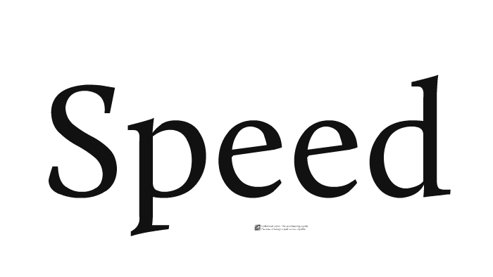 public speaking- SPEED by Alex Weidman on Prezi