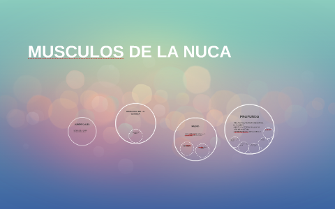 MUSCULOS DE LA NUCA by Mirla Cabrera on Prezi
