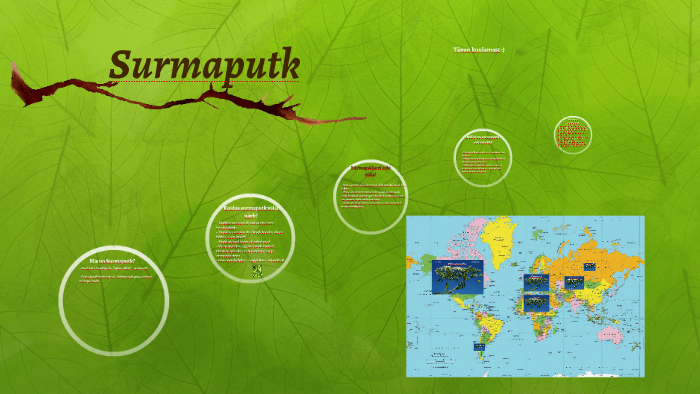 Surmaputk by Erika Terras on Prezi