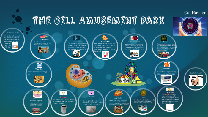 The Cell Amusement Park by Gal Hayner on Prezi