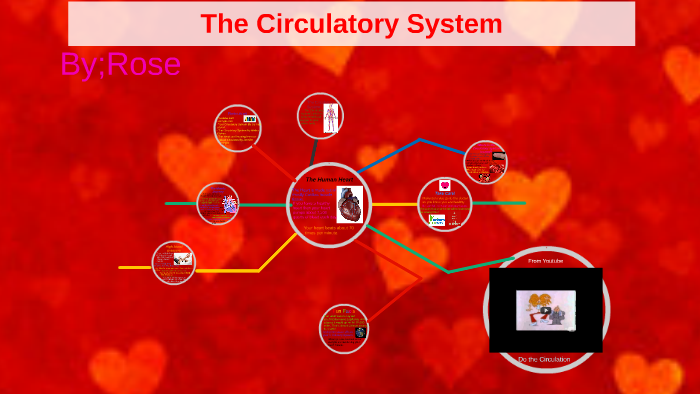 The Circulatory System by Rose c on Prezi