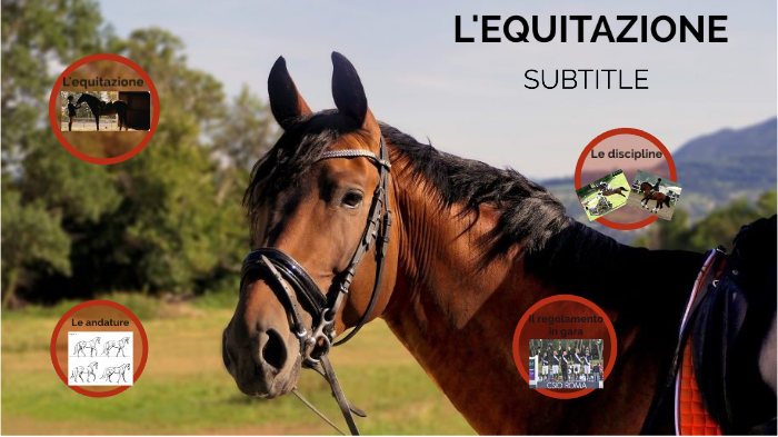 Rebecca Bellavia 4^E by Rebecca Bellavia on Prezi