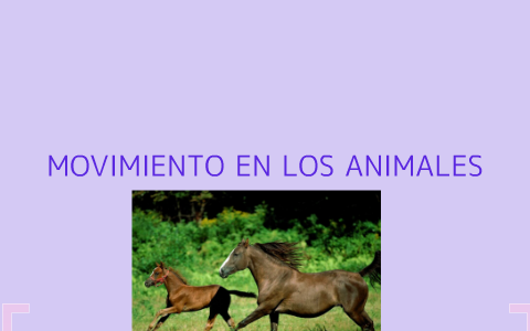 MOVIMIENTO EN LOS ANIMALES by johanna quevedo on Prezi