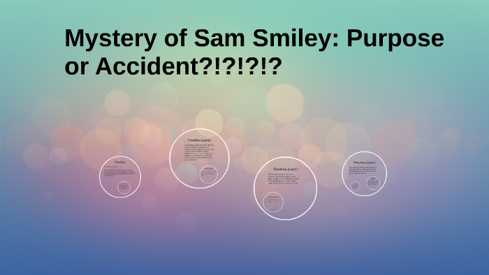 Mystery of Sam Smiley: Purpose or Accident?!?!?!? by Evangeline Payne ...