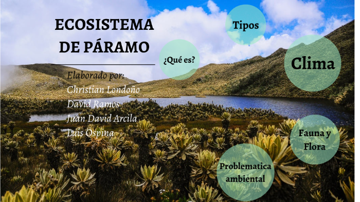 ECOSISTEMA DE PÁRAMO by Christian Leonardo Londoño Calvera on Prezi