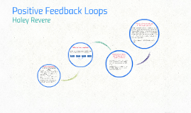 Positive Feedback Loop