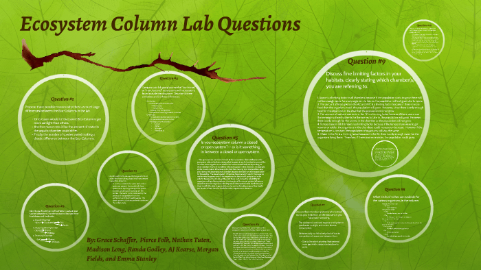 Ecosystem Column Lab Questions by Madison Long on Prezi