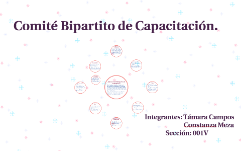 Comité Bipartito de Capacitación. by Nicole Teresa on Prezi