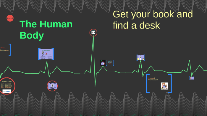 The Human Body by Kate Lindblom on Prezi