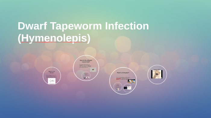 Dwarf Tapeworm Infection (Hymenolepis) by Brittany Kolbe on Prezi