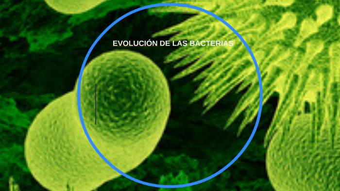 EVOLUCIÓN DE LAS BACTERIAS by Cristina Alvarado on Prezi