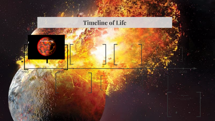 Timeline of Life by jennifer riddick