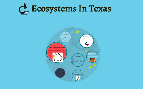 Ecosystems In Texas by on Prezi