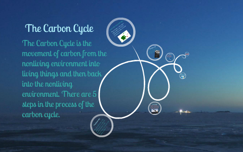 Carbon Cycle Project by Sara Calvert on Prezi