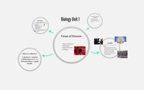 AQA Biology A Level: Unit 1-Cause of Disease by Eleanor Hyde on Prezi