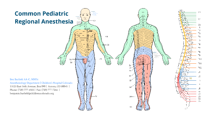 Regional Anesthesia (AA Student Lecture Series) by Ben Barfield on Prezi